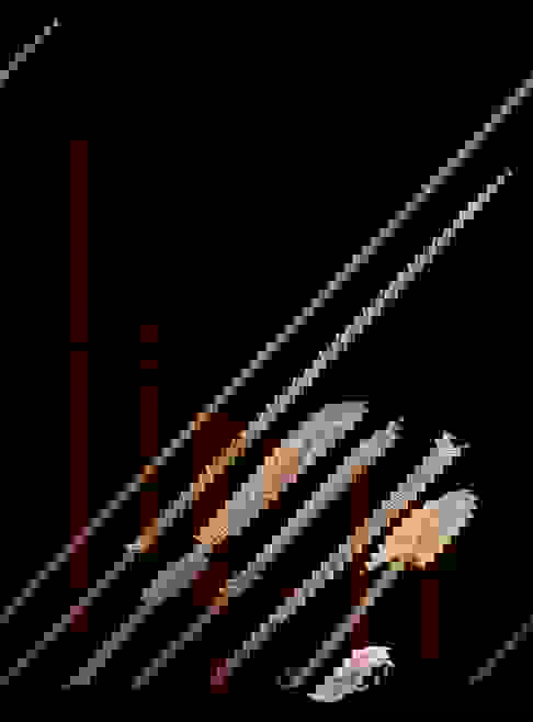 Early Polynesian Samoan Wood War Clubs & Spears Auction