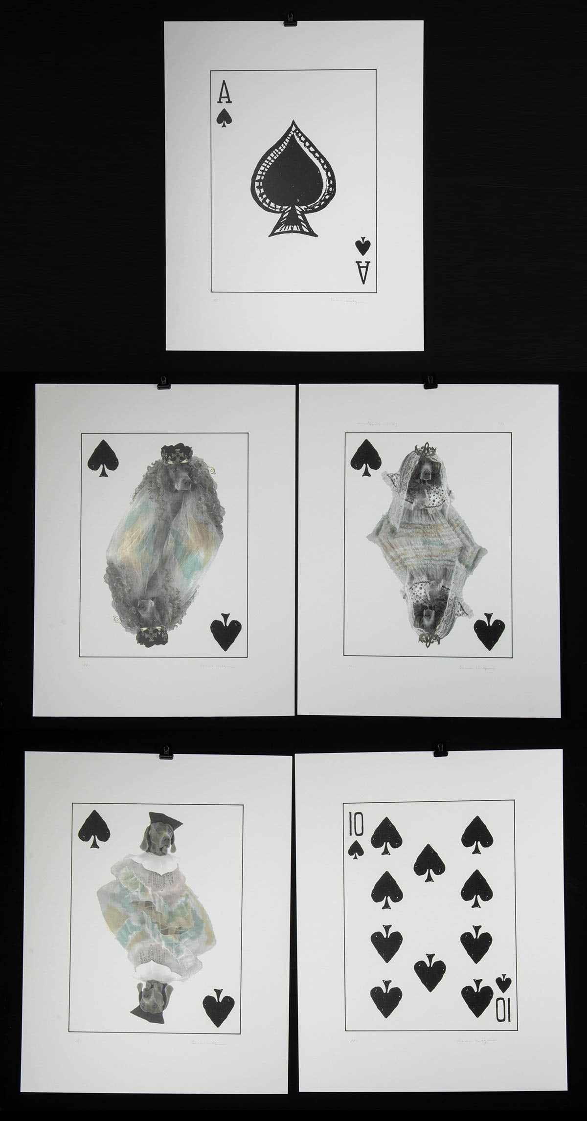 Five William Wegman Royal Flush Prints - Spades Auction