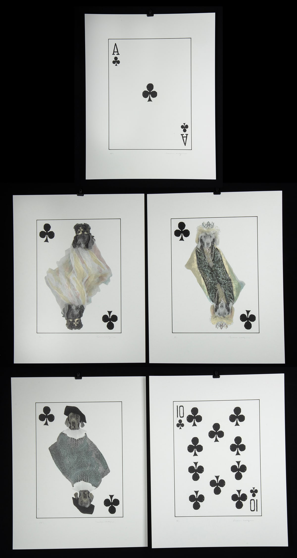 Five William Wegman Royal Flush Prints - Clubs Auction