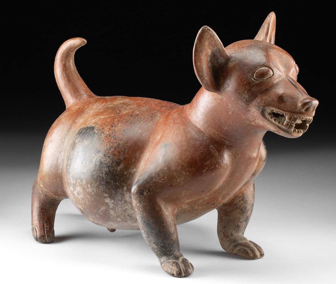 Large Colima Redware Jar Fascinating Form!