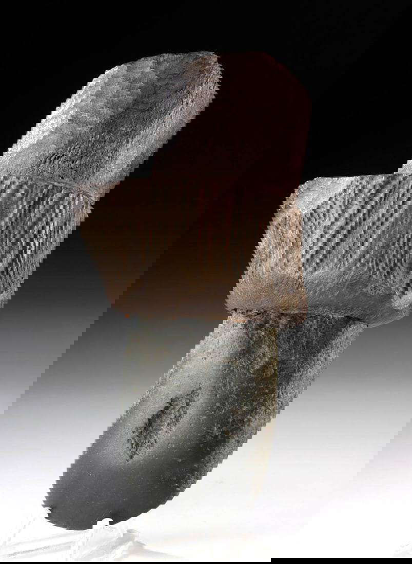 Neolithic Swiss Lake Dweller Stone Celt Blade, Antler Socket Auction