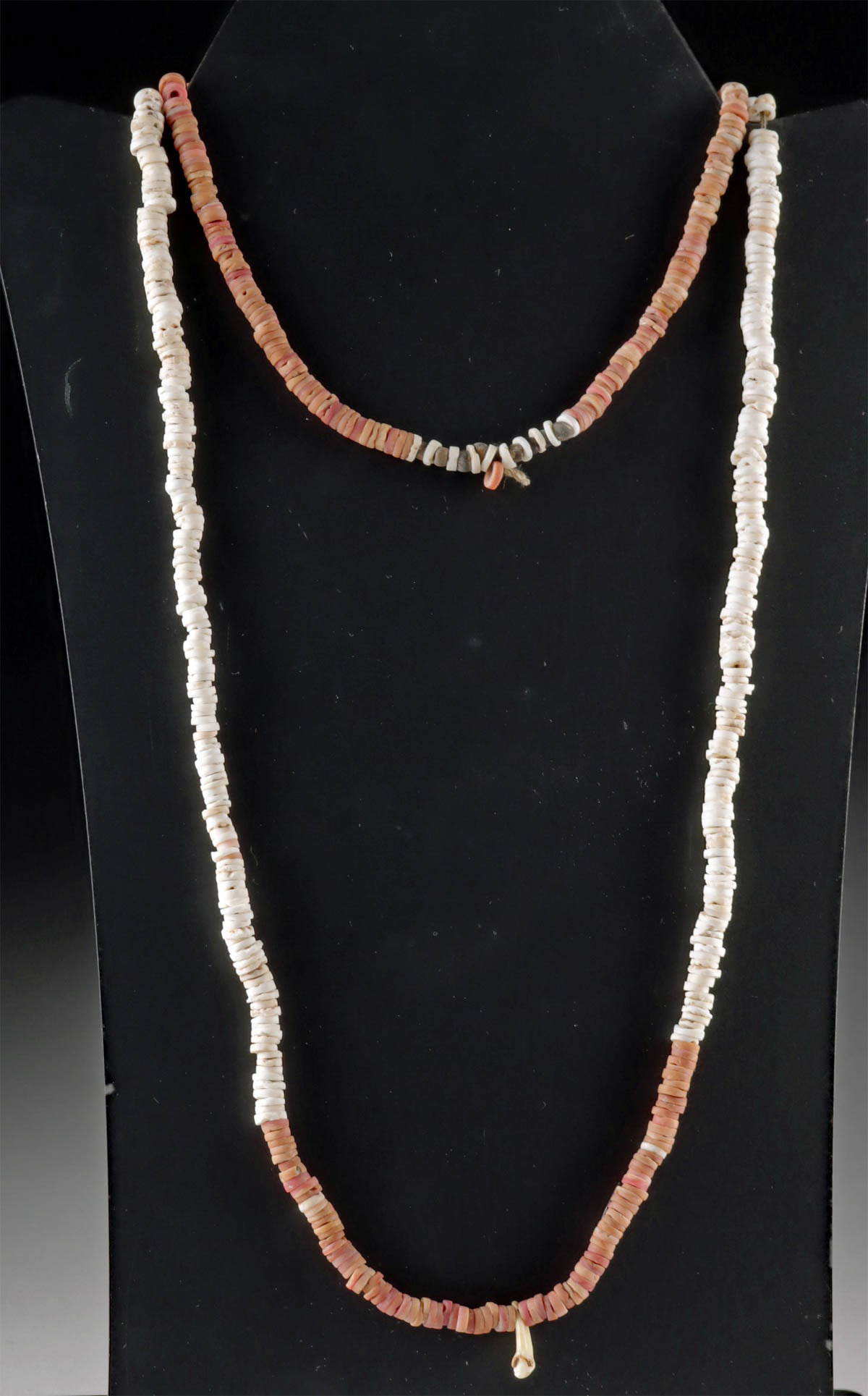 Pre-columbian Shell, Stone & Teeth Beaded Necklace Auction