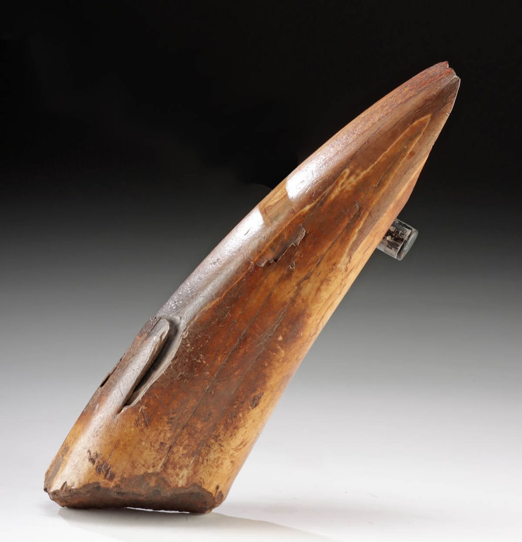 Buy Ancient Inuit Worked Tool - Large Walrus Ivory Artifact | Artemis ...