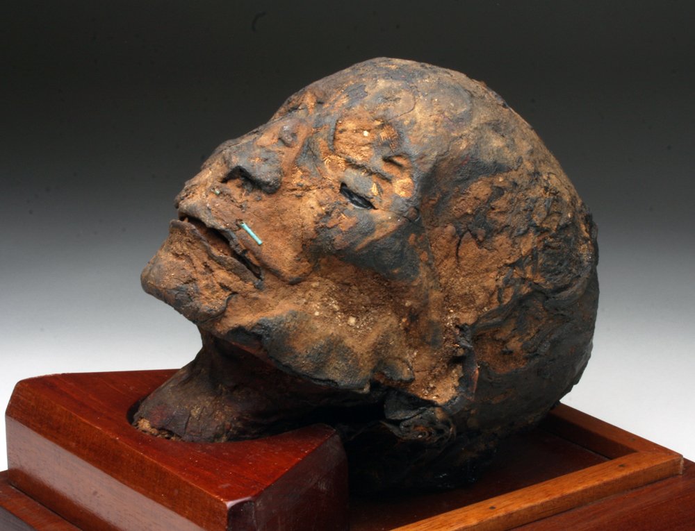 Authentic Egyptian Mummy Head - New Kingdom