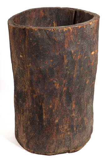 Primitive Hornbeam / Tree Barrel