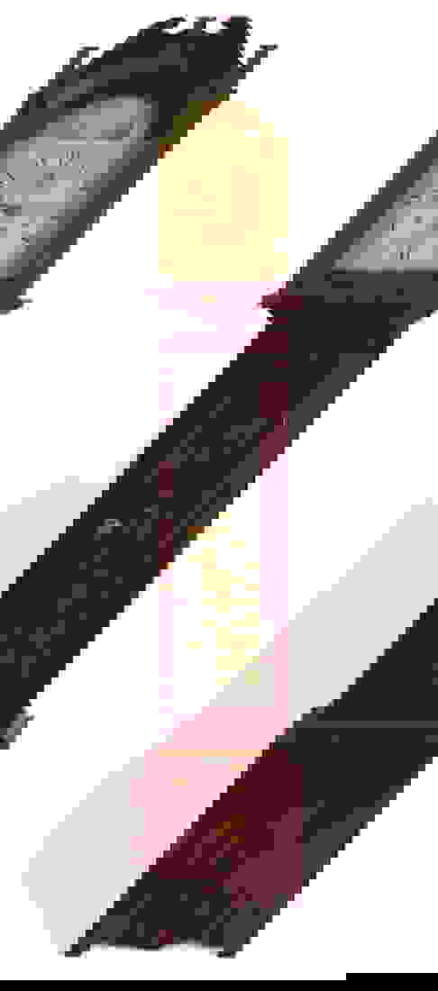 Riley Whiting, Winchester, Connecticut Paint-decorated Tall-case Clock Auction