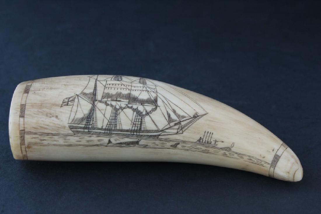 19th Century Carved Scrimshaw,