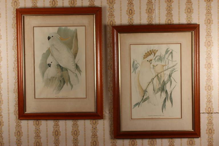 Pair Of Framed Gould Prints,