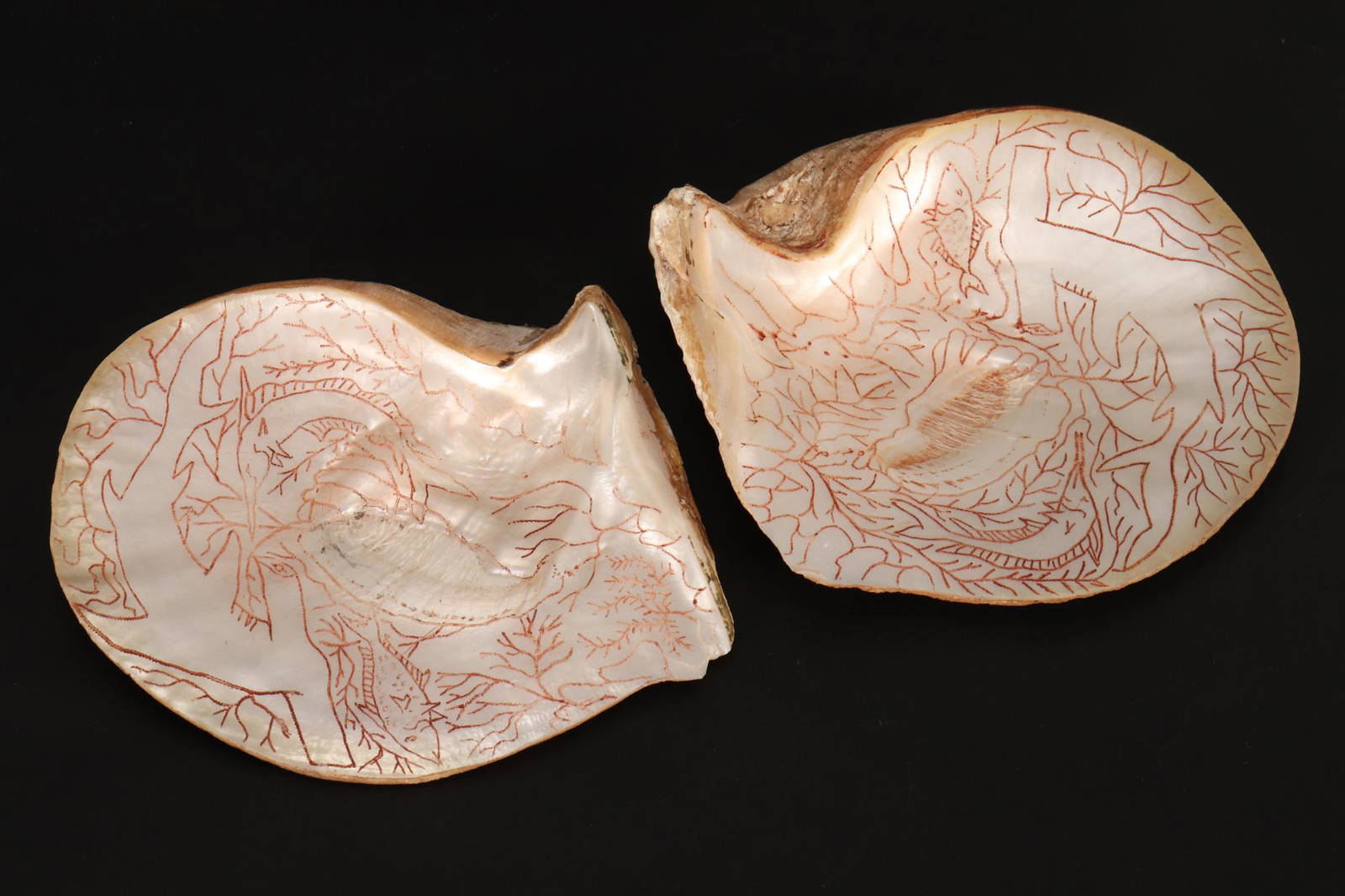 Pair Of Australian Aboriginal Pearl Shells, Auction