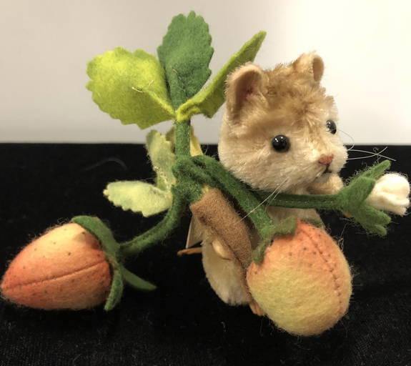 R. John Wright Timmy Willy