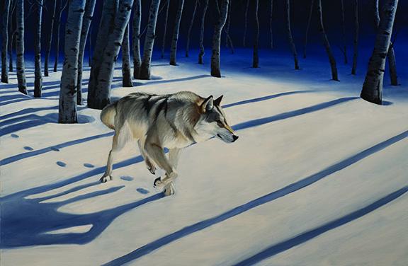 Cory James Mclaughlin "on The Move"