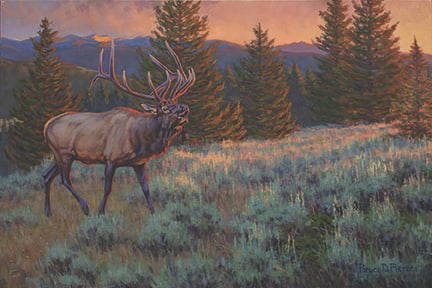 Bruce Pierce - "into The Limelight" Auction