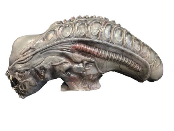 Aliens (1986) Alien Creature Head Movie Props