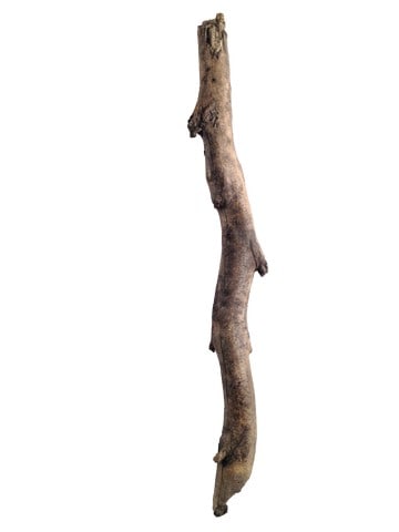 Django Unchained (jamie Foxx) Lone Pine Branch Movie Props Auction