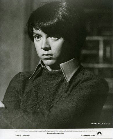 Harold And Maude Collection Of 14 Publicity Stills