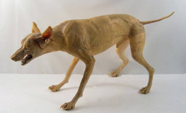 I Am Legend Mutant Attack Dog Prop