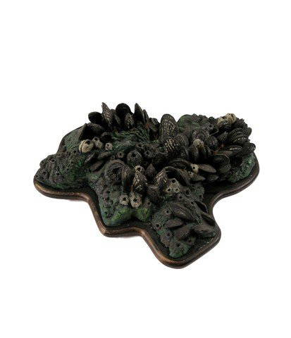 Grant Mccune Mechanical Miniature Seashell Display