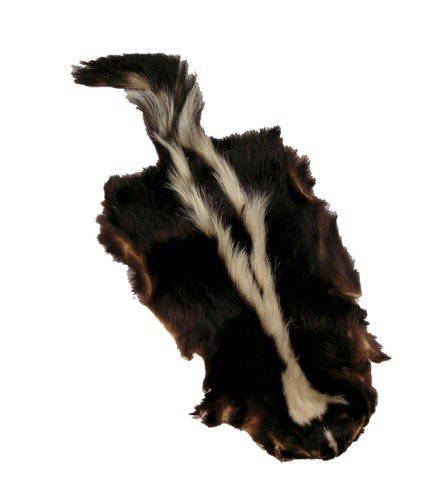 The Walking Dead Skunk Pelt Movie Props