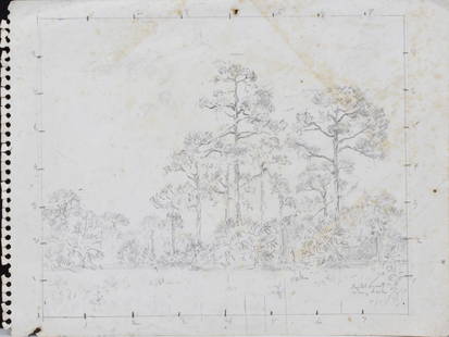 A.e. Backus Florida Artist 12 Hibiscus Complex Auction