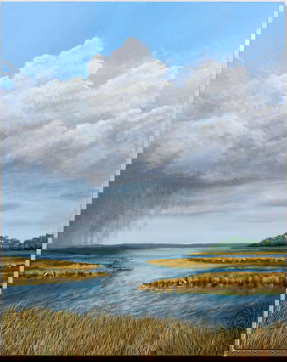 Carol Ann Knapp Florida Artist Glades Edge