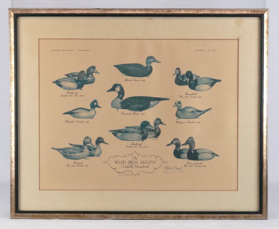 Ward Brothers Duck Print