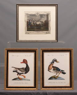 3 Various Duck Prints