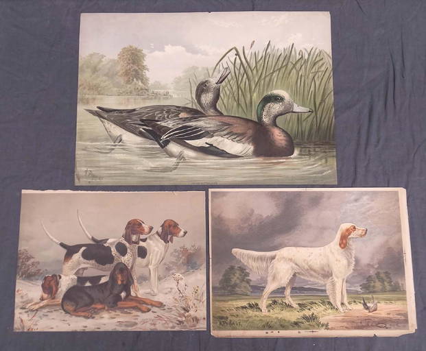 Alexander Pope Duck Dog Prints (3)