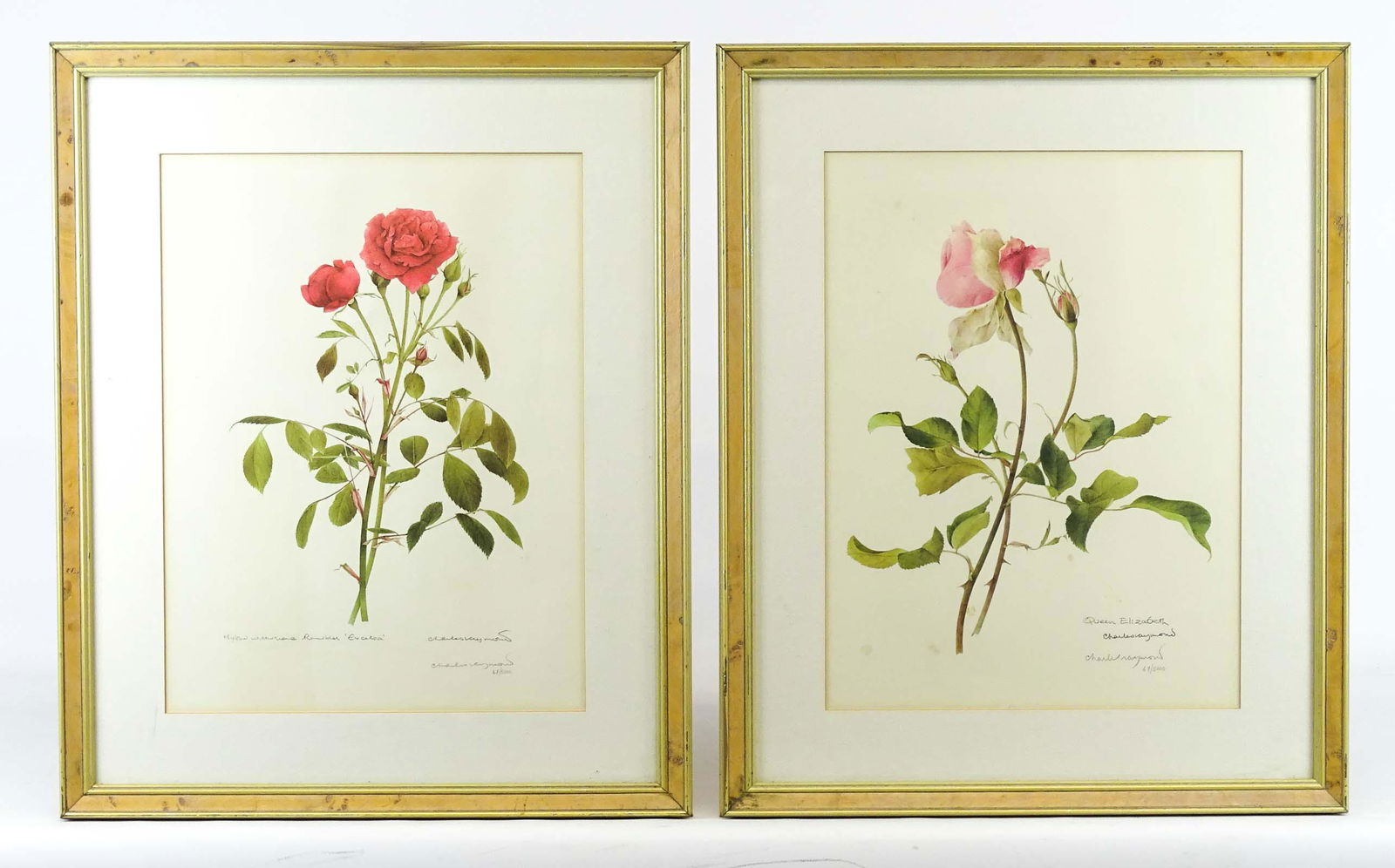 Charles Raymond Signed Floral Prints