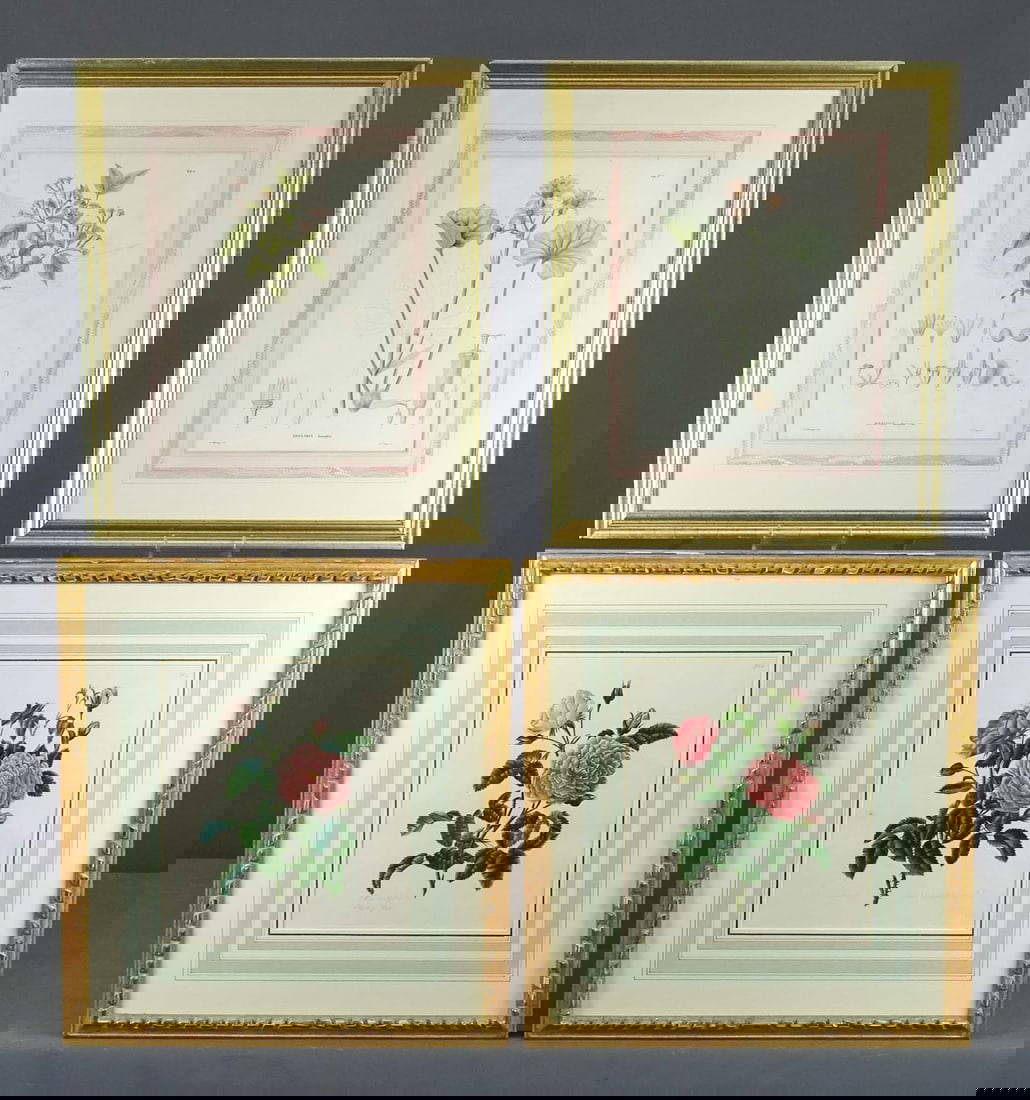 Floral Study Prints Auction