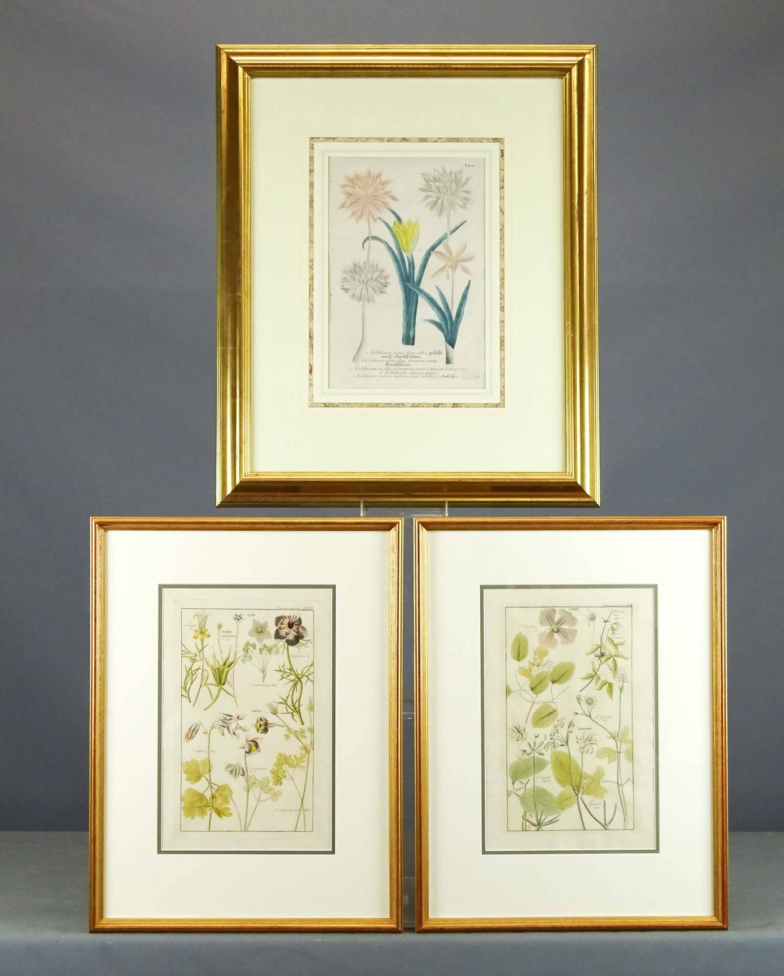 Study Prints Auction