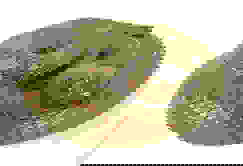 Plaster Folk Art Snake Sculpture Auction