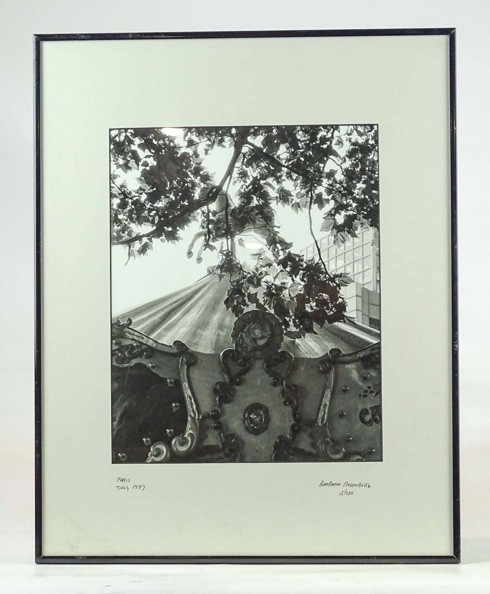 Barbara Rosenberg (20th Century) Auction