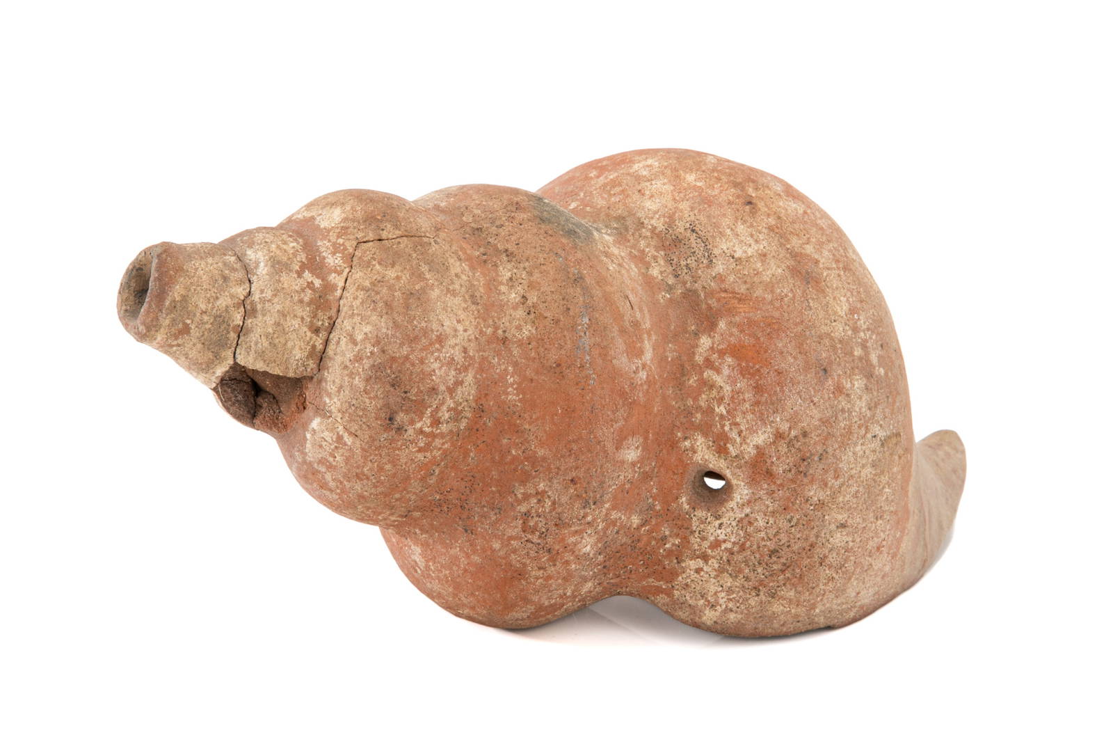 Lowland Mayan Ritual Pottery Conch Shell Auction