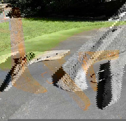 Ships Knees In A Lot Of Three