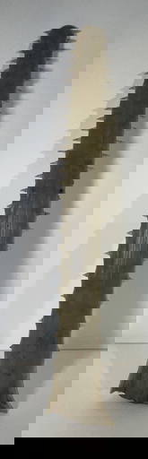 Large Authentic Sawfish Bill