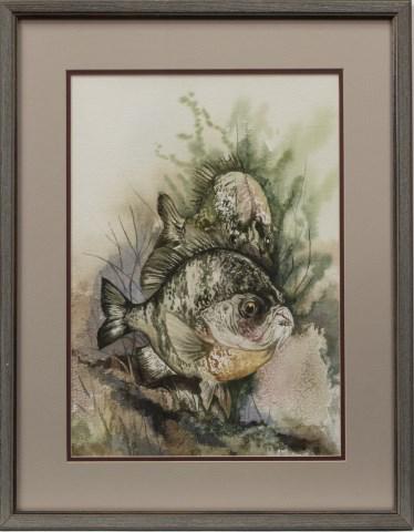 Pamela Rattray Brown (inman, South Carolina)