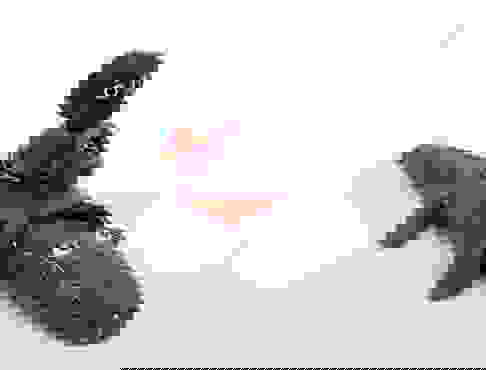 South Carolina Folk Pottery, Robert Stevens Auction