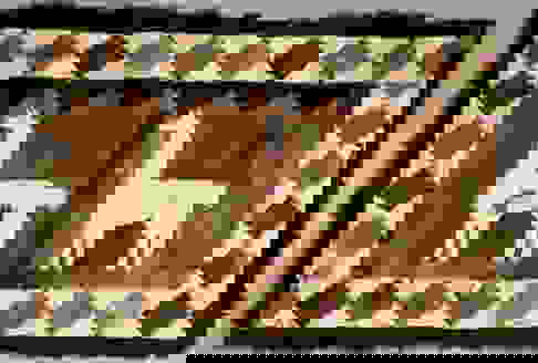 Animal Hide Wall Hanging / Rug Auction