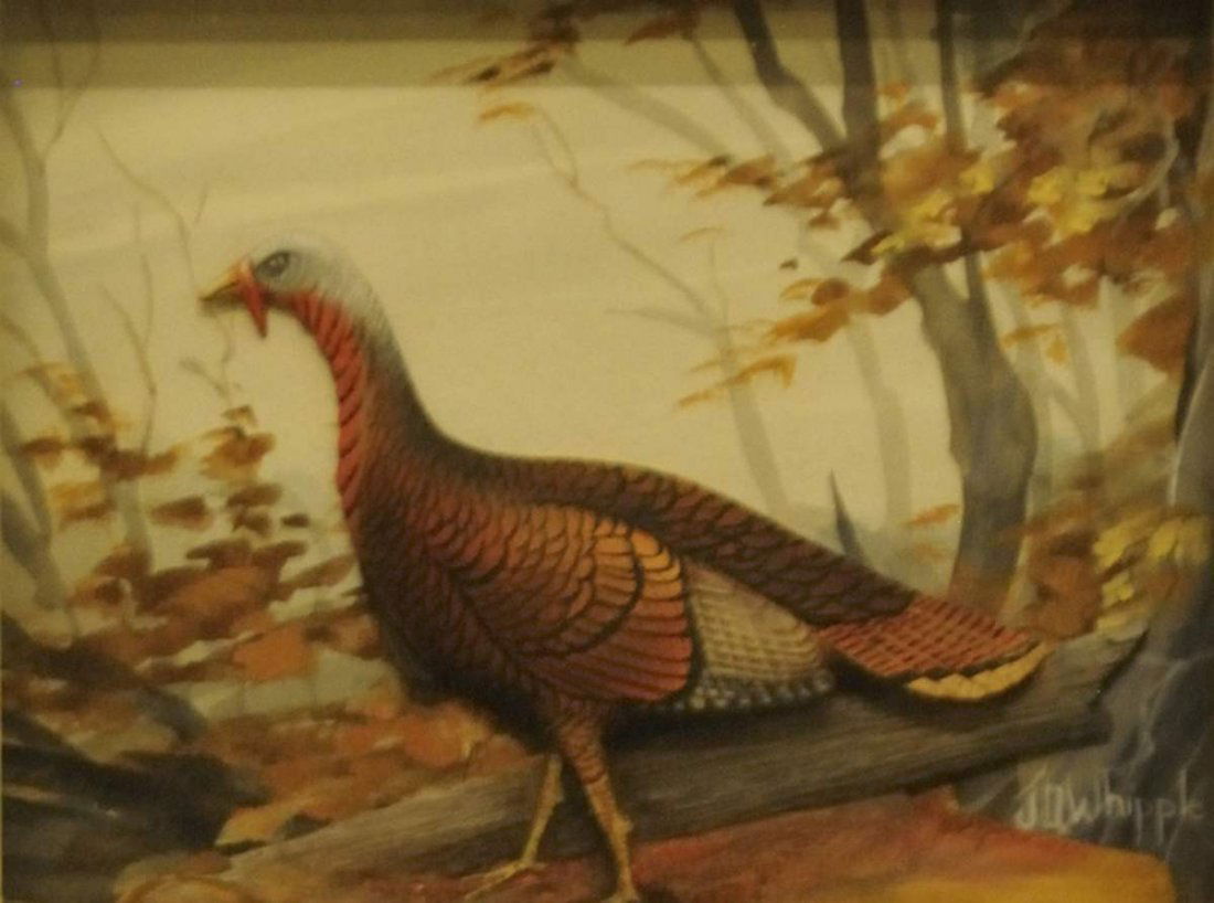 93: Joseph Q. Whipple Framed Turkey Shadow Box