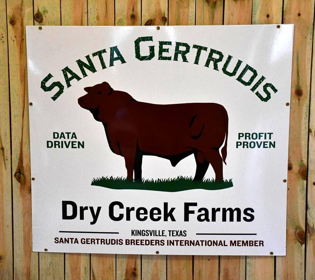 Santa Gertrudis W/ Graphic Porcelain Cattle Sign Auction
