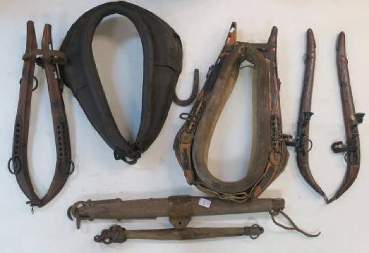 Collection Of Antique Horse Harness, Collars, Hames: