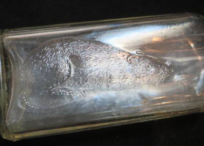 Clear Glass Rat Embossed Poison Bottle: