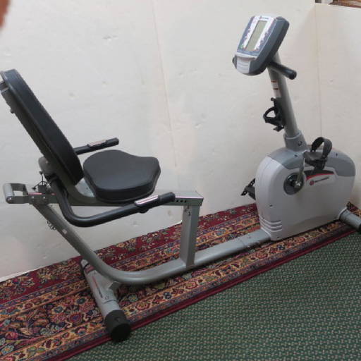 Schwinn "biodyne Performance" Exercise Bicycle:
