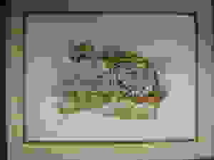 Signed Charles Rowe Ocelot Print