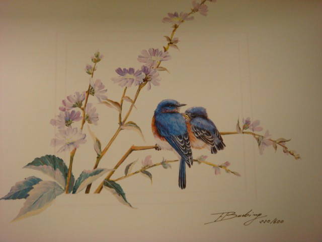 Three Signed/numbered Ernestine Bucking Bird Print