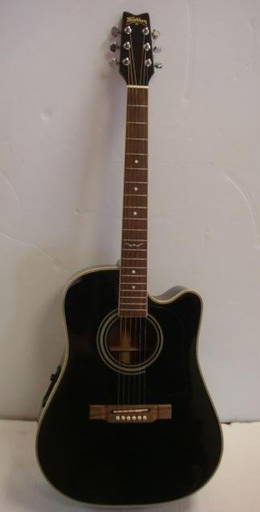 WASHBURN Acoustic-Electric Guitar, with EQUIS II - Apr 29, 2012 ...