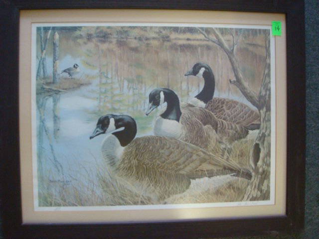 Signed And Numbered John Macleod Canada Geese Print