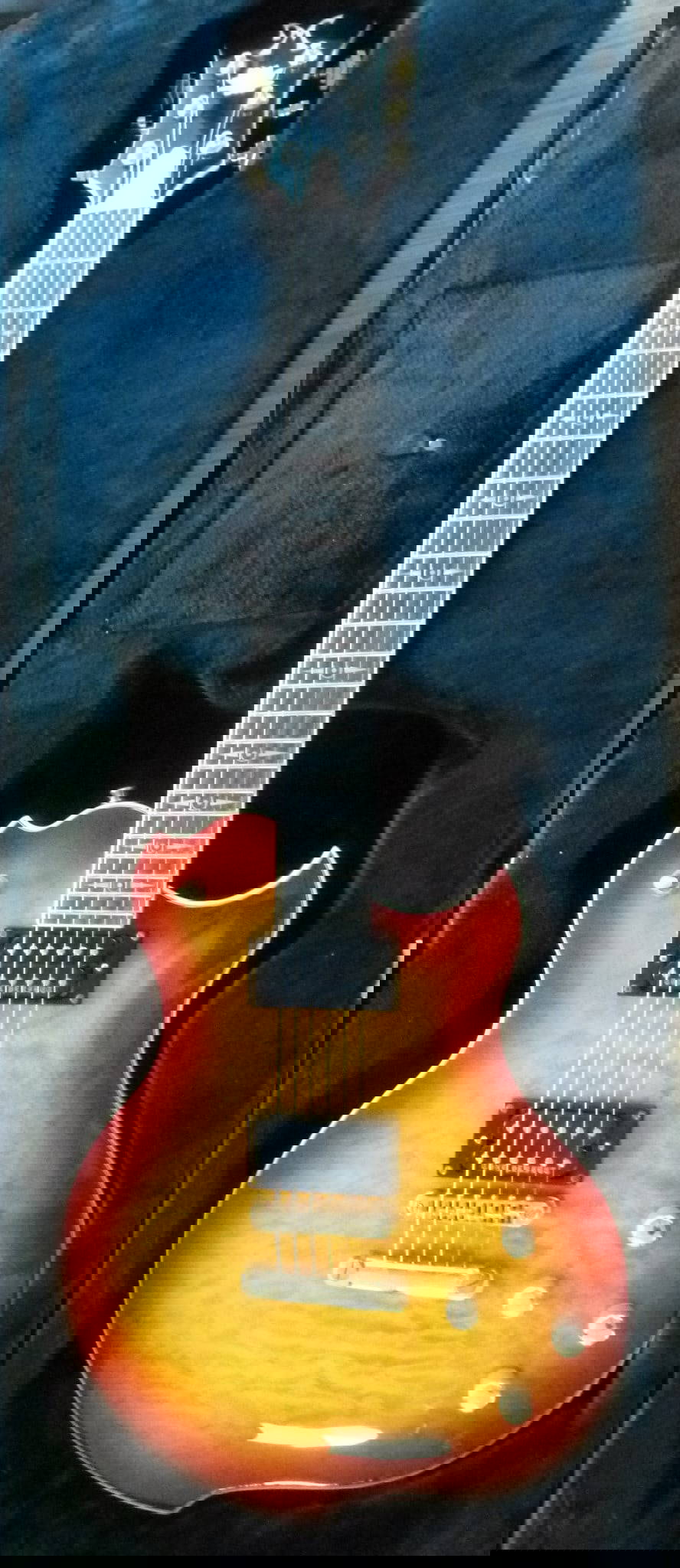 Buy Minarik Lotus Custom Professional Electric Guitar: | Phoebus ...