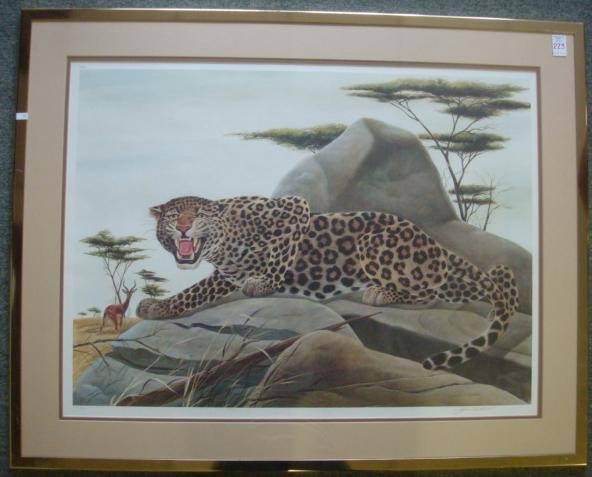 Signed Limited Edition Leopard Print, John A Ruthven: