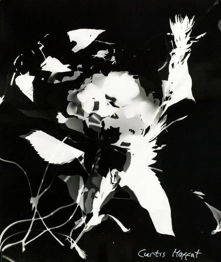 Curtis Moffat American Modernist Photogram Paper